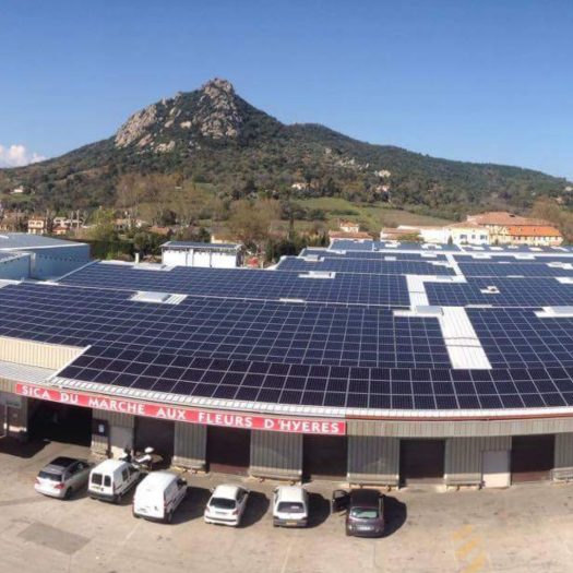 Actualités - Marchés aux fleurs d'Hyères